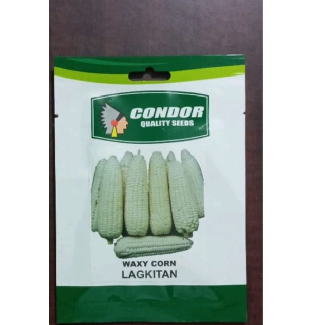 LAGKITAN OPV WAXY WHITE CORN SEEDS 10 GRAMS (CONDOR) | Shopee Philippines