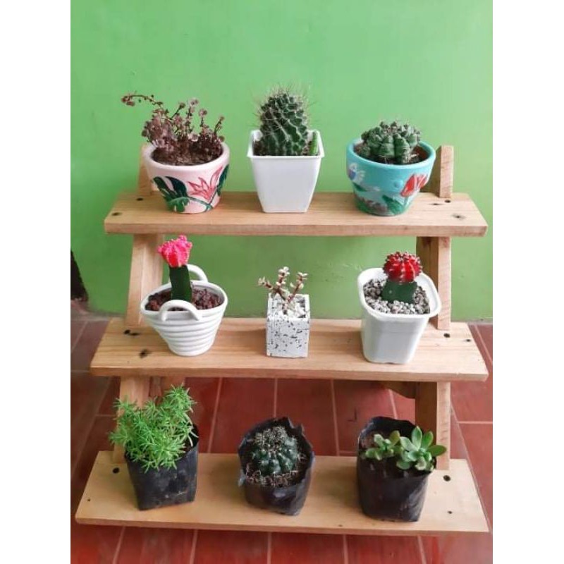 Plant Rack Palochina 3.5" 19x15x16 | Shopee Philippines