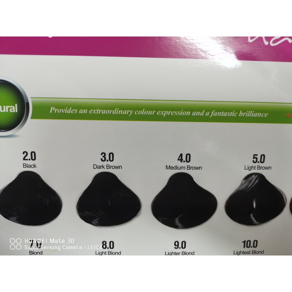 Sunbright Series Hair Color cream 100ml | Shopee Philippines