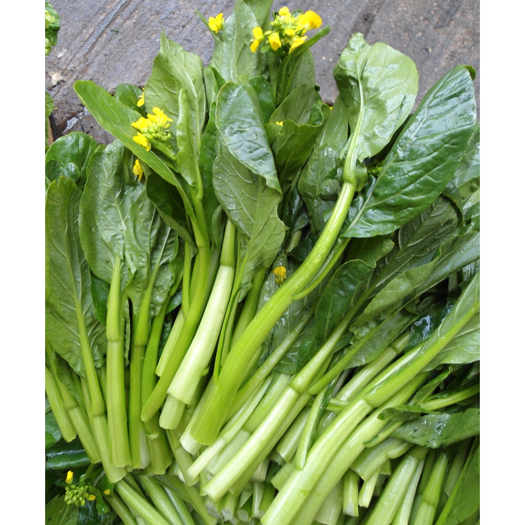 CHOY SUM / TSOI SUM / CHOI SUM SEEDS (5grams)choy sum（1000pcs) | Shopee Philippines