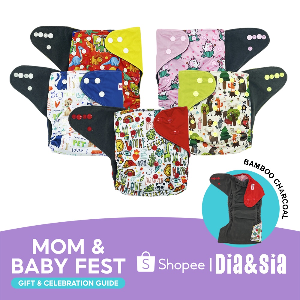 a Dia&Sia bamboo charcoal cloth diaper with bamboo charcoal inserts and ...