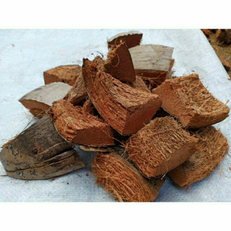 Coco Chips/Coco Chops/Coconut Husk/ Bunot for orchids | Shopee Philippines