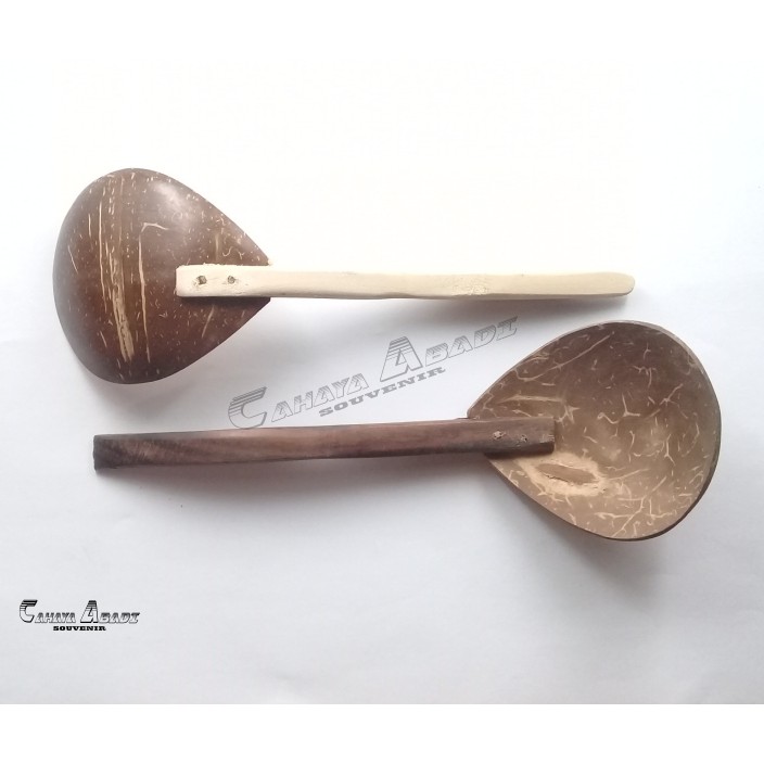 Mini Irus / Vegetable Spoon / Mini Coconut Shell Ladle / rice ladle ...