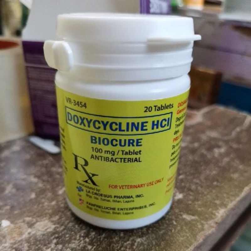 Biocure Doxy 20 Tablets | Shopee Philippines