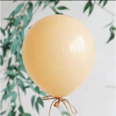 10" APRICOT (RETRO) Color Balloon (TEN pcs per pack) | Shopee Philippines