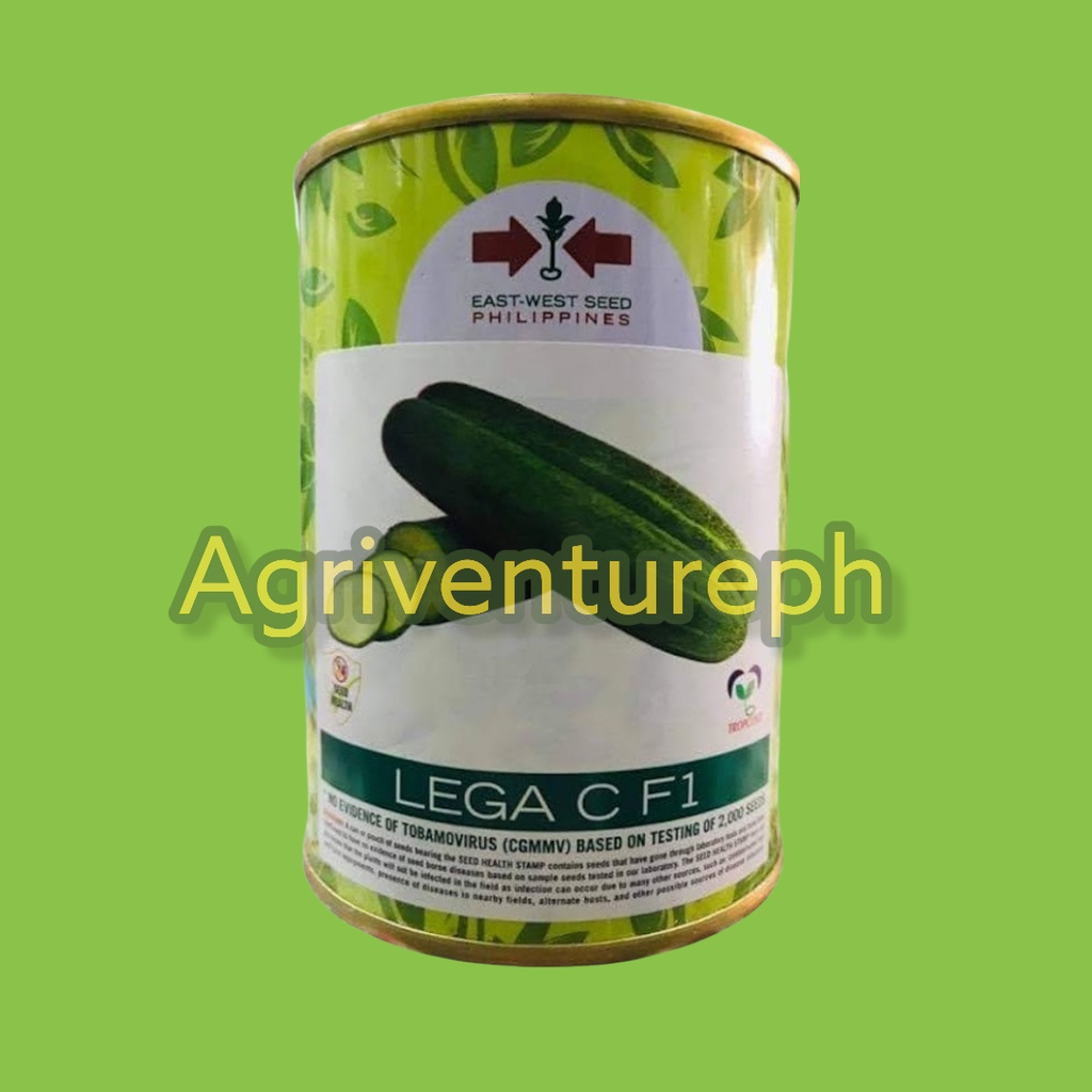 LEGA C F1 (50G) HYBRID CUCUMBER SEEDS BY EAST WEST | Shopee Philippines