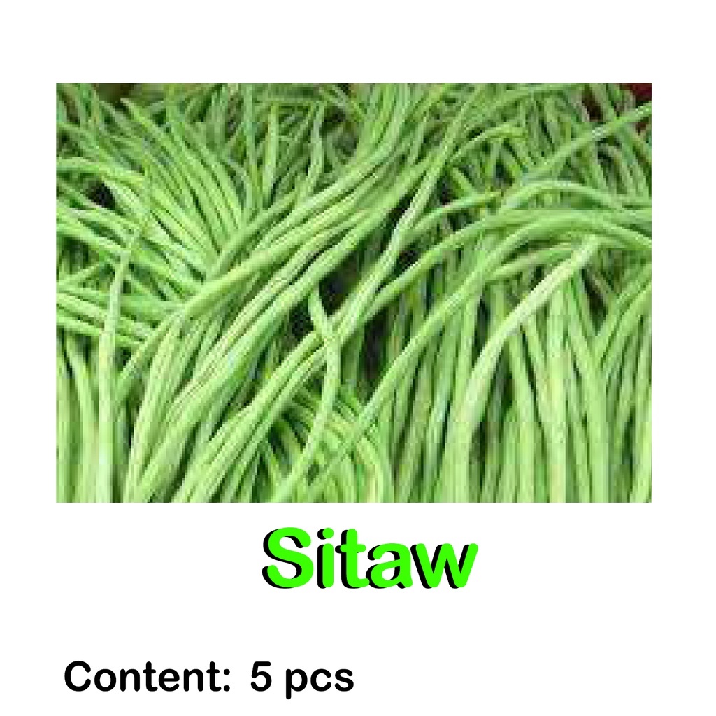 Vegetables Seeds kamatis talong pechay ampalaya sigarilyas upo lettuce ...