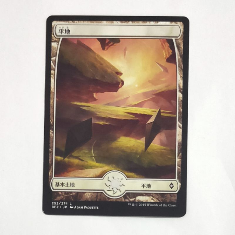 MTG Card PLAINS BFZ ZEN AKH Full Art Textless Basic Land Magic the ...