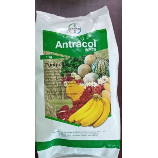ANTRACOL WP 70 FUNGICIDE ACTIVE INGREDIENT PROPINEB 1 KILO (BAYER ...