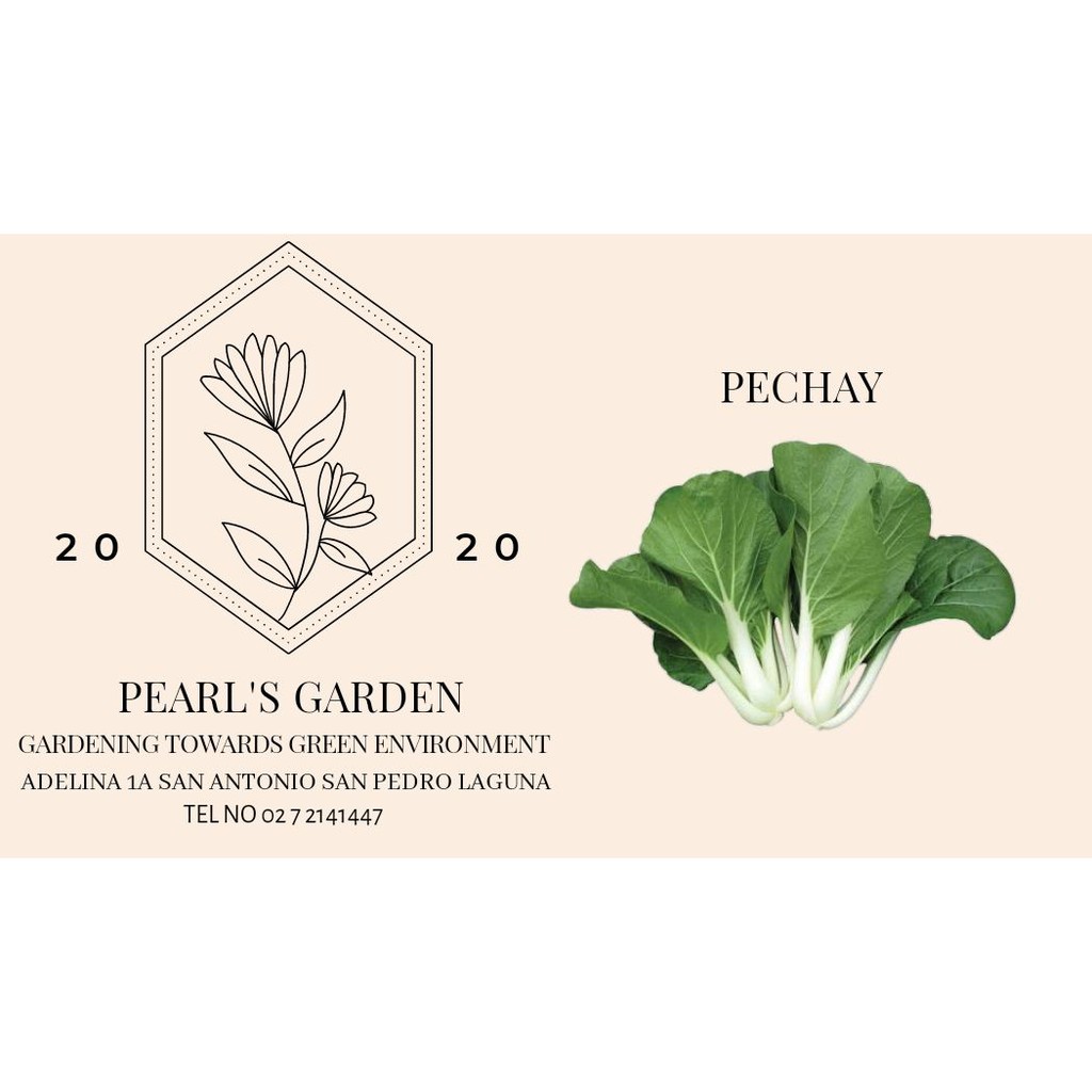 Pearl's Garden Pechay Seeds (1gram per pack ) | Shopee Philippines