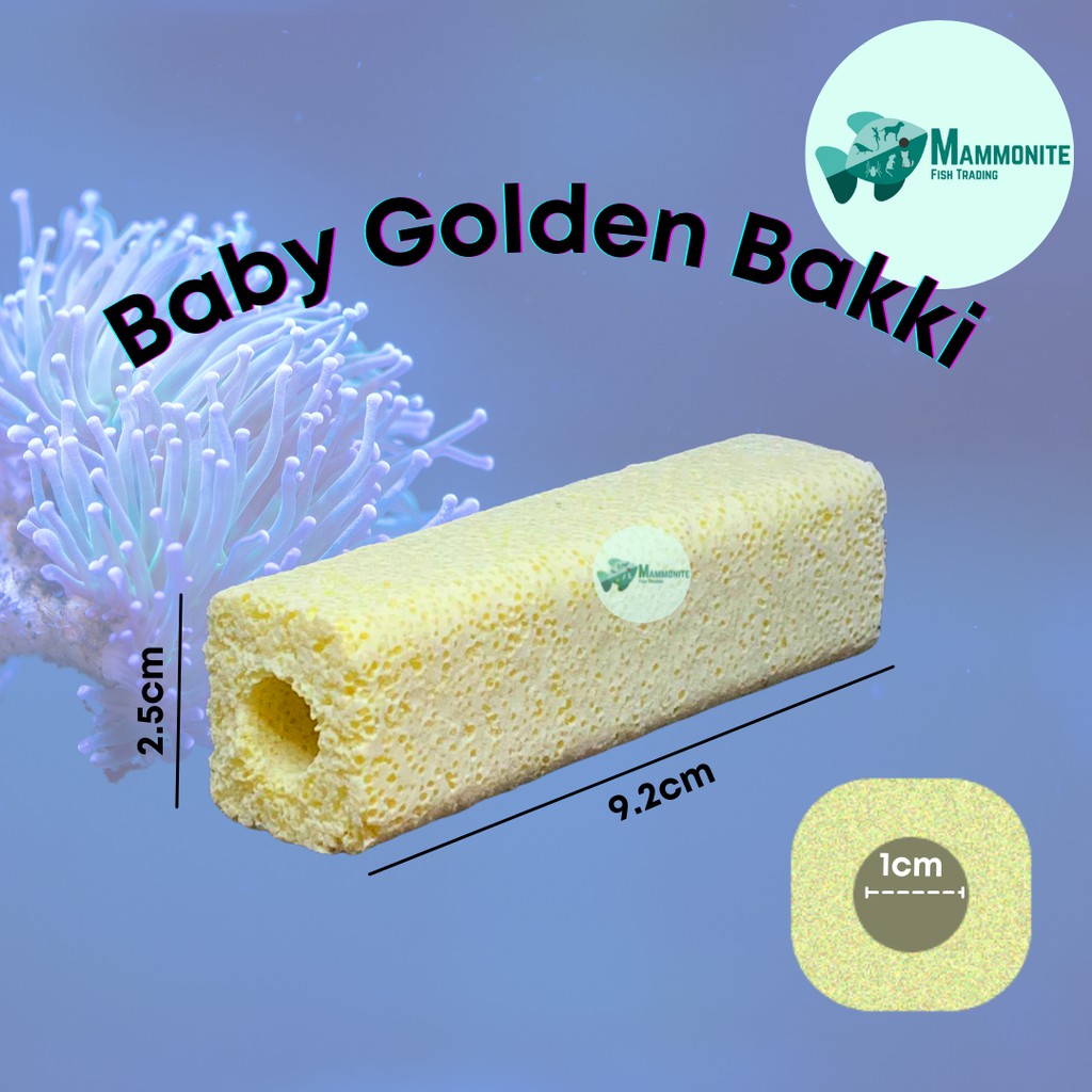 Premium Bakki Roll For Aquarium Activated Carbon Lava Peppered ...