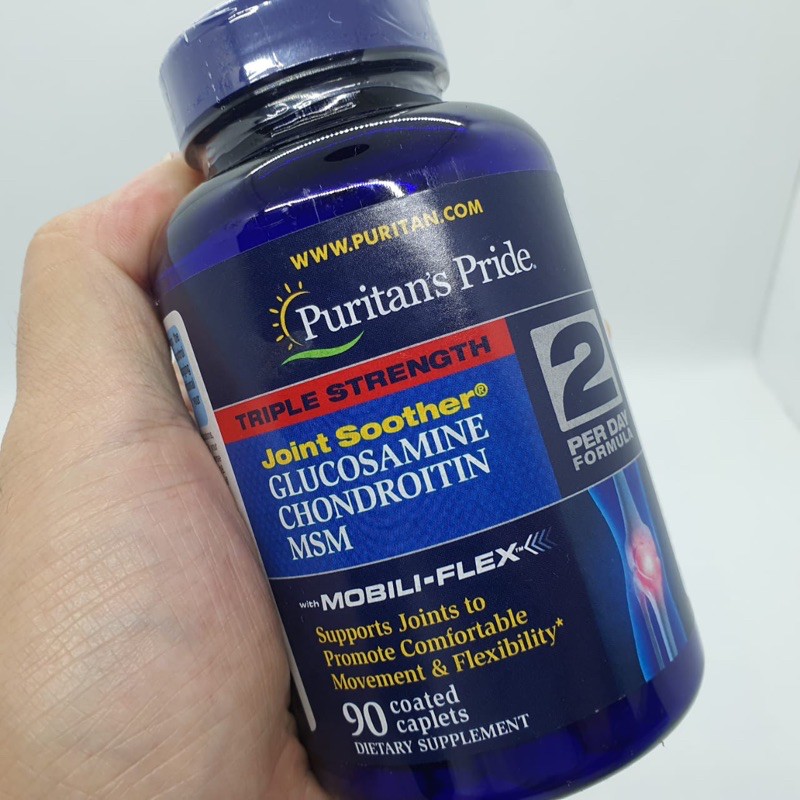 Puritan Pride Glucosamine Chondroitin Msm Triple Strength - 90 Tab ...