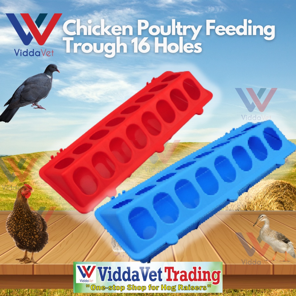16 holes Flip-Top 50cm Plastic Chick Poultry feeder trough for birds ...