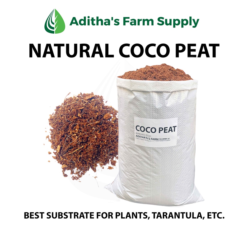 6kg AFS Coconut / Coco Peat (Non-Acidic) Best Substrate for Plants ...