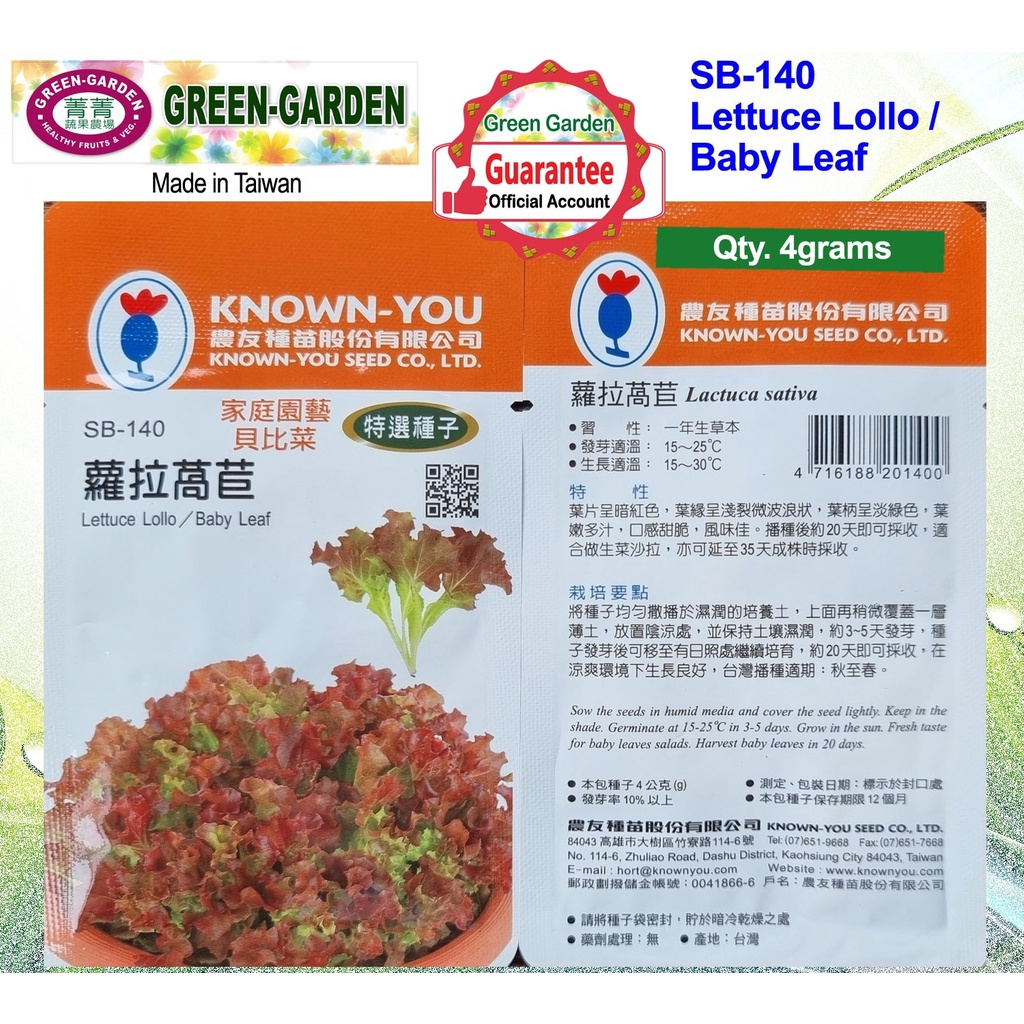 Known You Special Seeds (SB-140 Lettuce Lollo/Baby Leaf) | Shopee ...