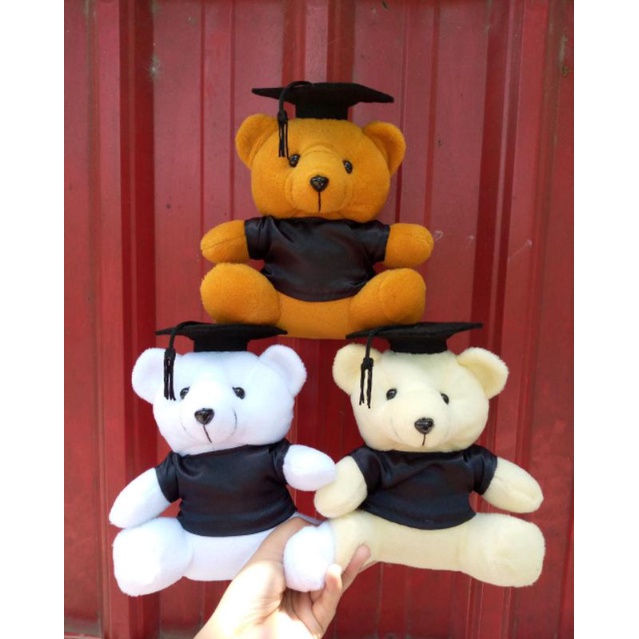 20cm Graduation Doll Large Size | Shopee Philippines