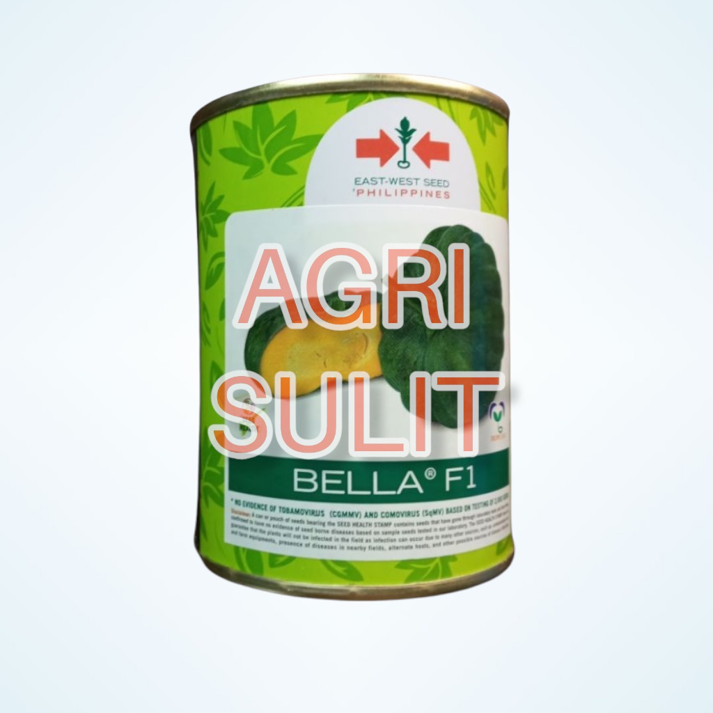 BELLA F1 HYBRID SQUASH SEEDS 425 SEEDS (EAST WEST SEEDS) | Shopee ...