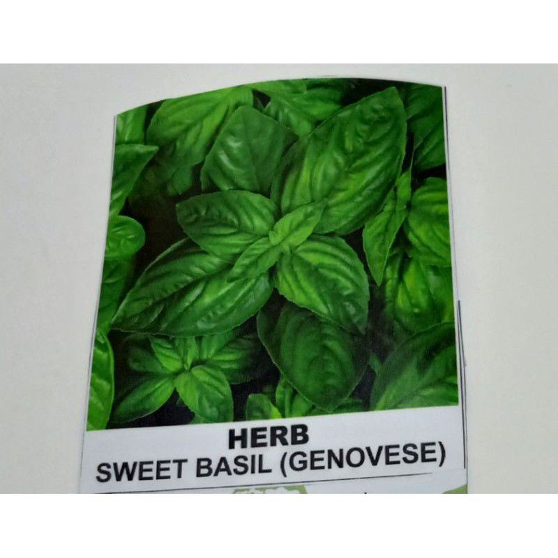 Herbs and Vegetable seeds (repack) | Shopee Philippines