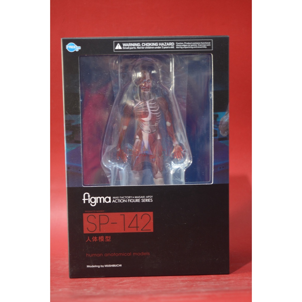 Good Smile Company figma #142 Human Anatomical Model Figure from Table ...