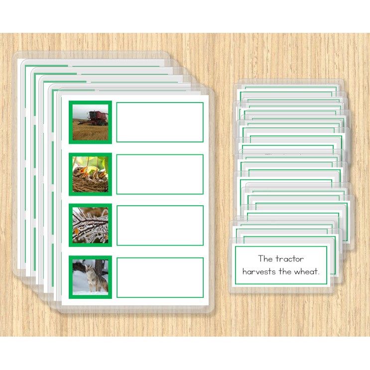 Montessori Green Series - SENTENCE CARDS | Shopee Philippines