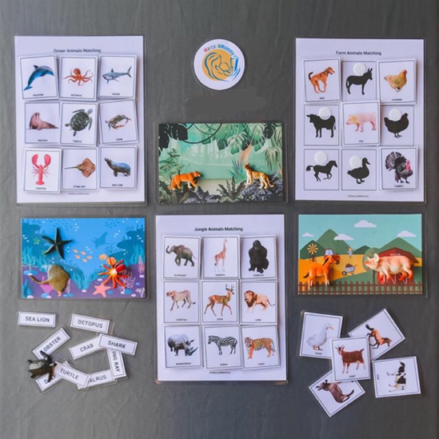 Bundle: Farm, Ocean, Jungle Animals Educational Montessori Activity ...