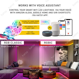 HATSY WIFI RGBIC LED STRIP - 5 & 10 METERS, 3 PIN, DREAM COLOR, RGB ...