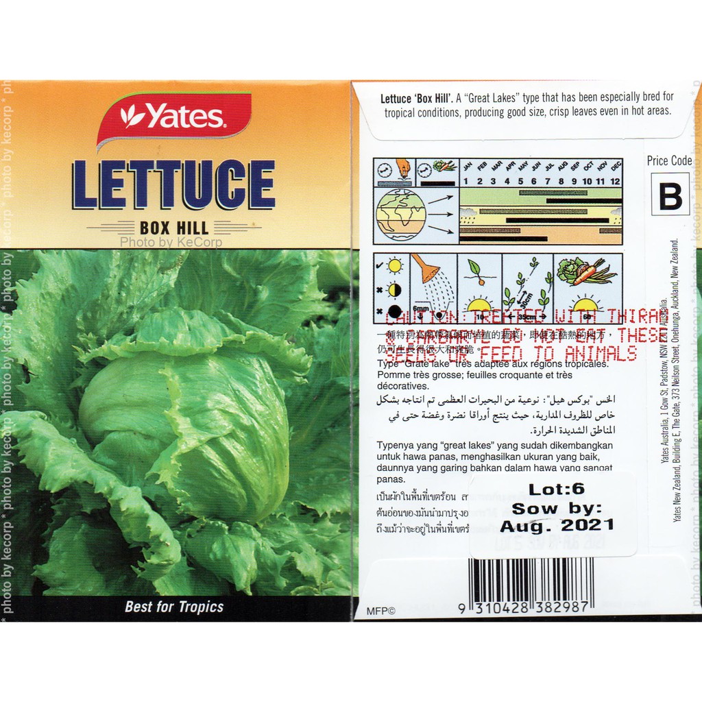 Ramgo & Yates Lettuce Seeds - Sold per Pack per Variety KECORP_S1 ...