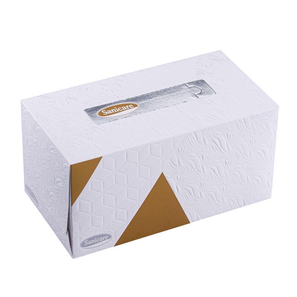 Sanicare Facial Tissue Largebox 3Ply 190 Pulls | Shopee Philippines