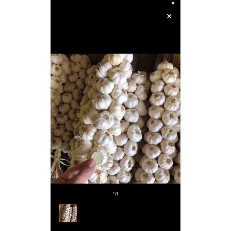 Ilocos Native White Garlic(Bawang) 1Kg | Shopee Philippines