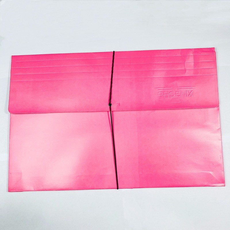 5pcs Expanding Envelope Long File inserted forlder Office Folder with ...