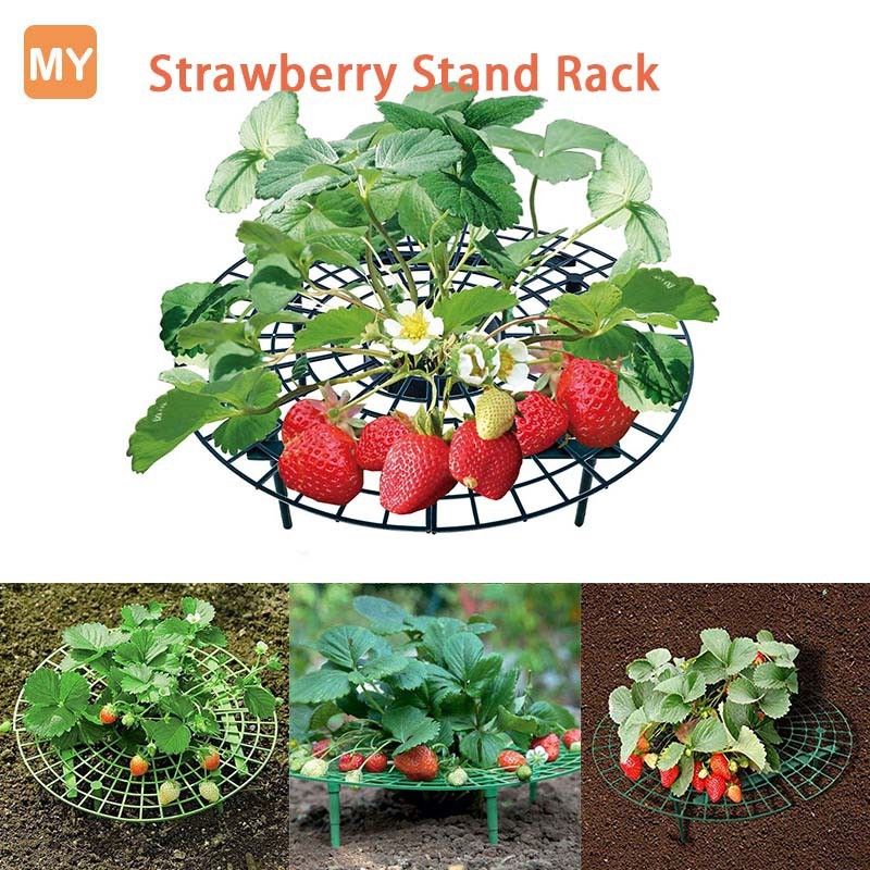 Strawberry Stand Frame Holder Round Fruit Support Balcony Planting Rack ...