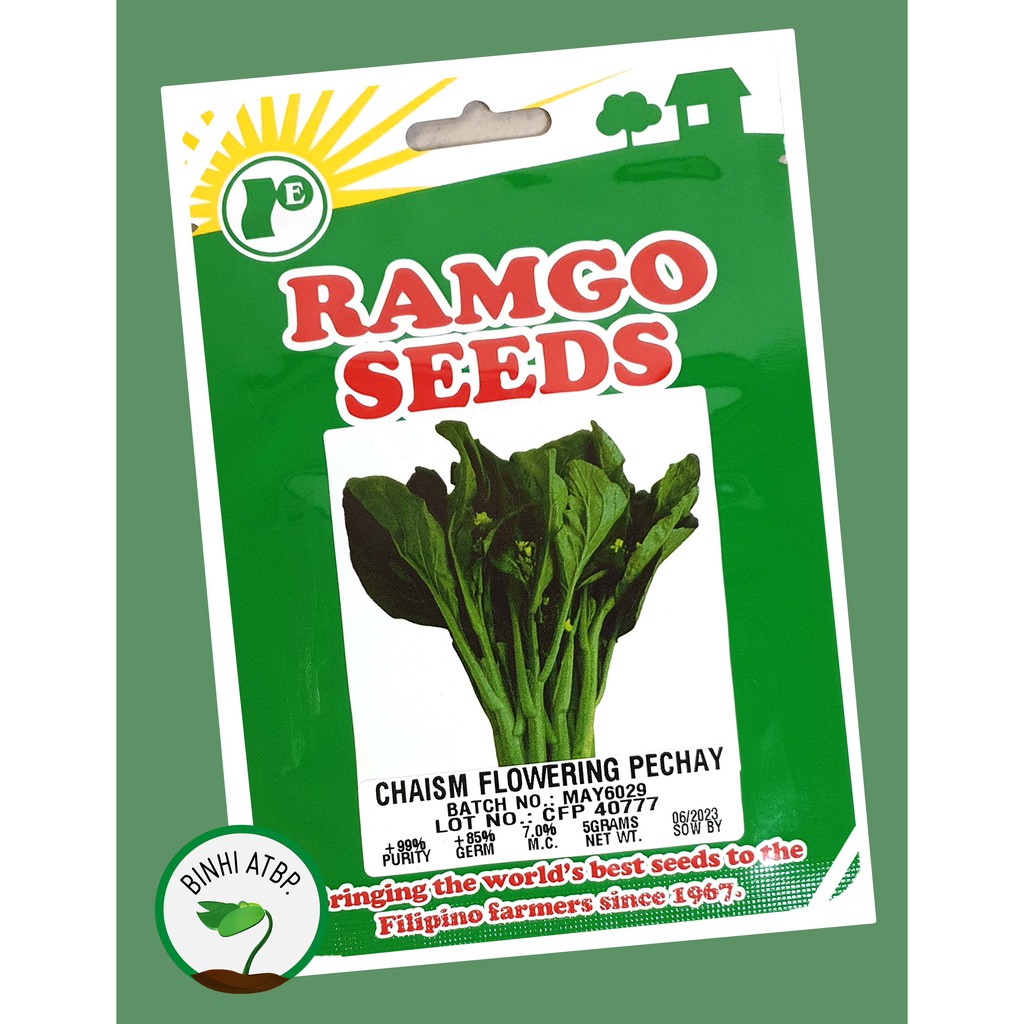 Ramgo Chaism Flowering Pechay (Choysum or Choi Sum) Seeds | Shopee ...