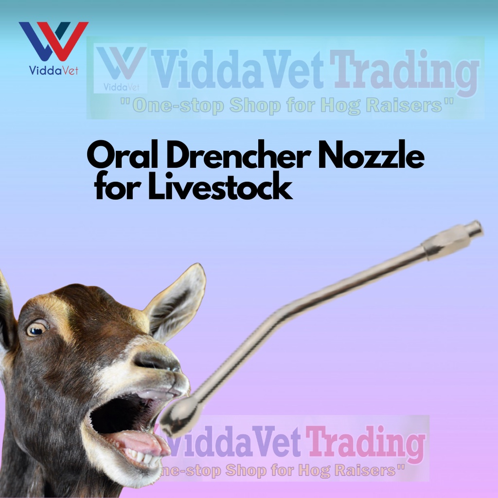 Viddavet Oral drencher nozzle for piglets goats cattle and small ...