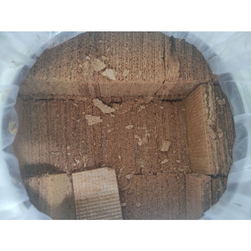 Wafer Chocolate Flavor 250 Grams | Shopee Philippines