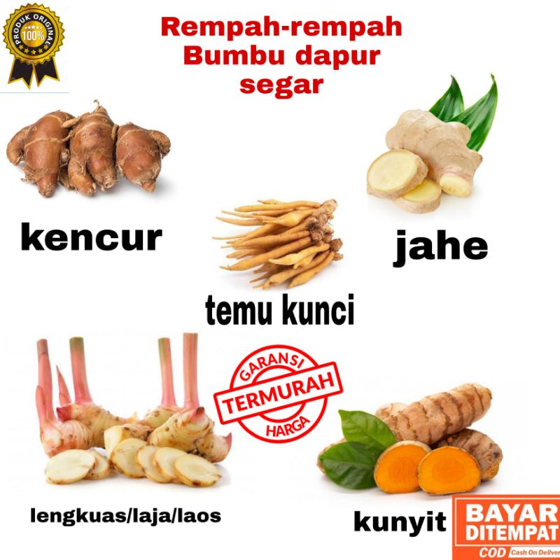 LENGKUAS LAJA LAOS, TURMERIC, GINGER, TEMU KUNCI, FRESH KENCUR SPICES ...