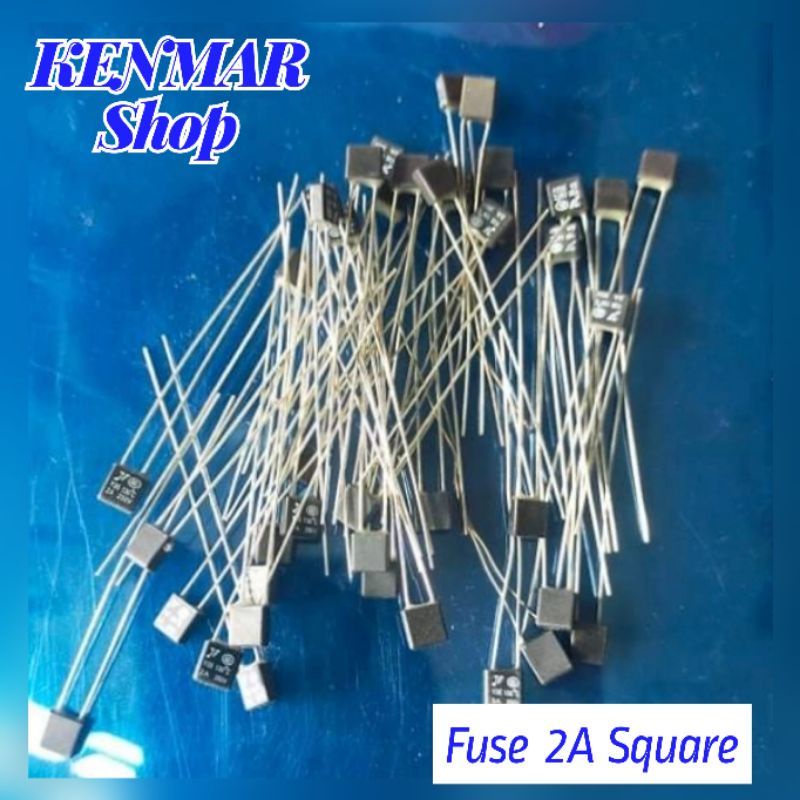 10 pcs. Fuse for Electric Fan 2A Square/Oval | Shopee Philippines