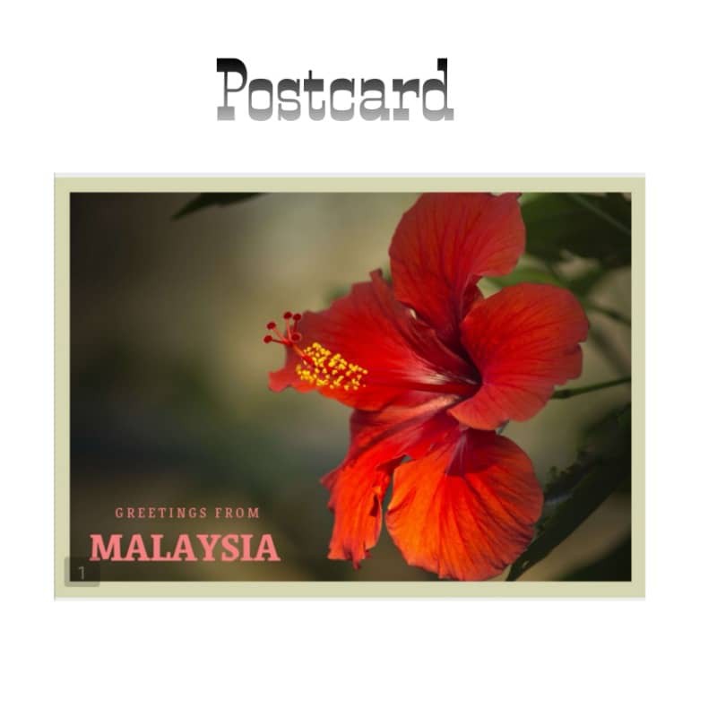Hibiscus Poscard Red Flower Postcard Bunga Raya Bunga Kebangsaan Poskad ...