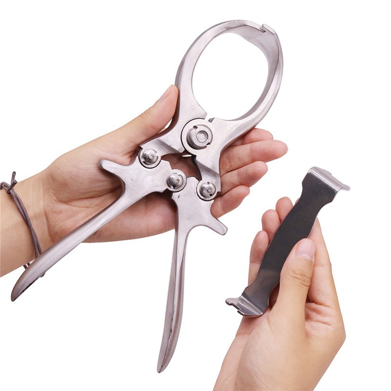 Livestock Tools Stainless Steel Without Blood Pig Sheep castration Clamp Castration Tool ...