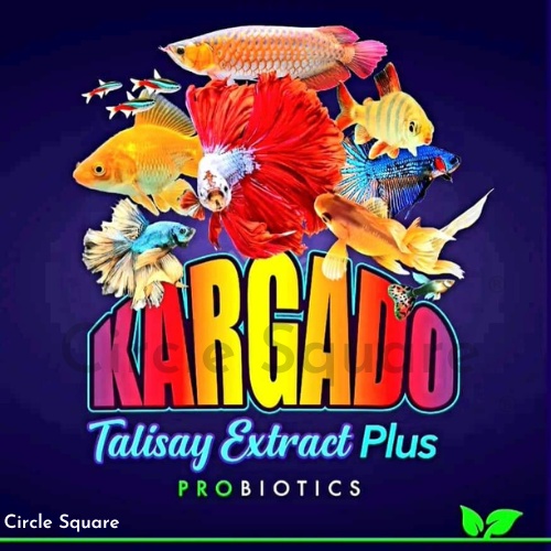 Kargado TALISAY EXTRACT plus Probiotics 300 ml | Shopee Philippines
