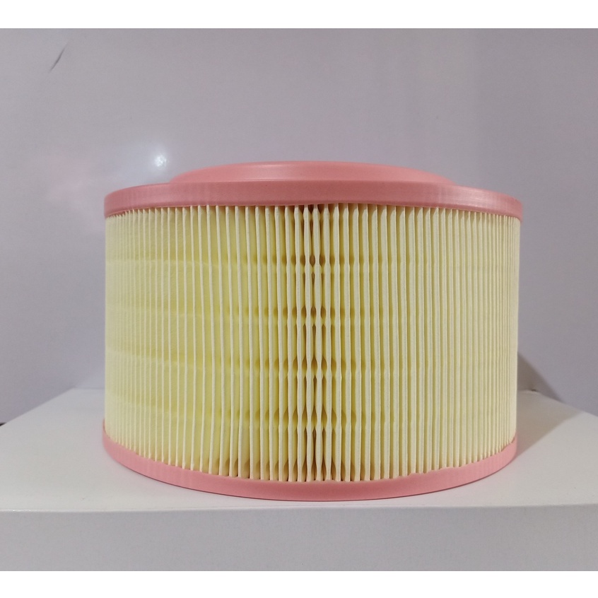 FORD Air Filter Ranger 2016-up Ranger XLT, Wildtrak 2014-up (AB399601AB ...