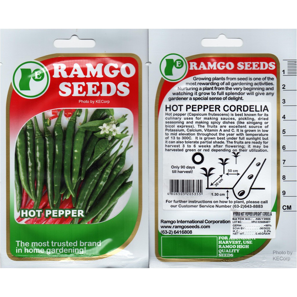 Ramgo Seeds - Sold Per Pack Per Variety - Pakchoi Bell Pepper Carrot ...