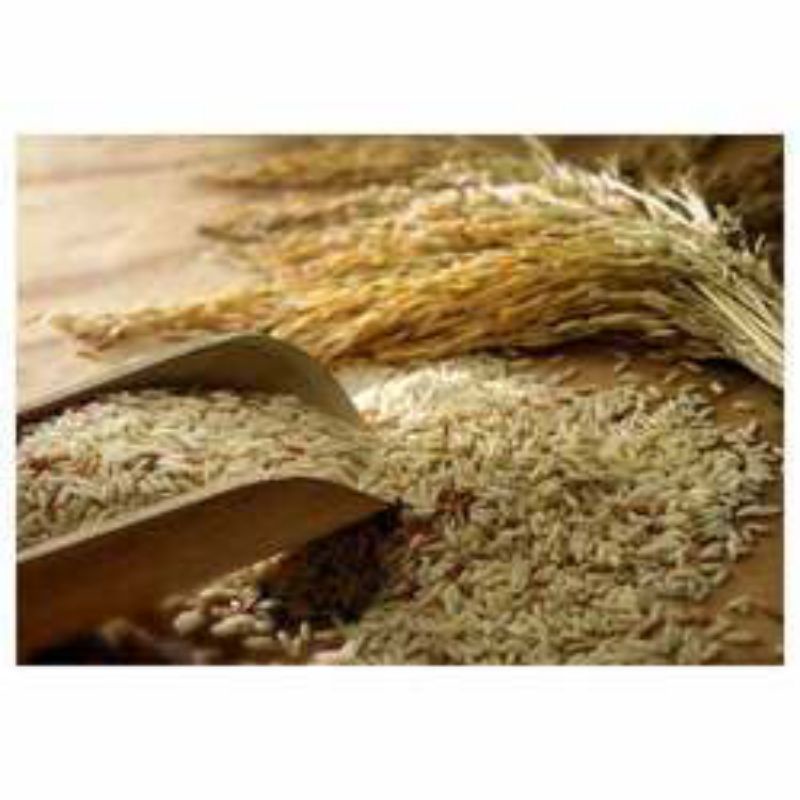 DARAK (RICE BRAN) CLASS-A| FOOD GRADE|FINE-TEXTURE 1Kg | Shopee Philippines
