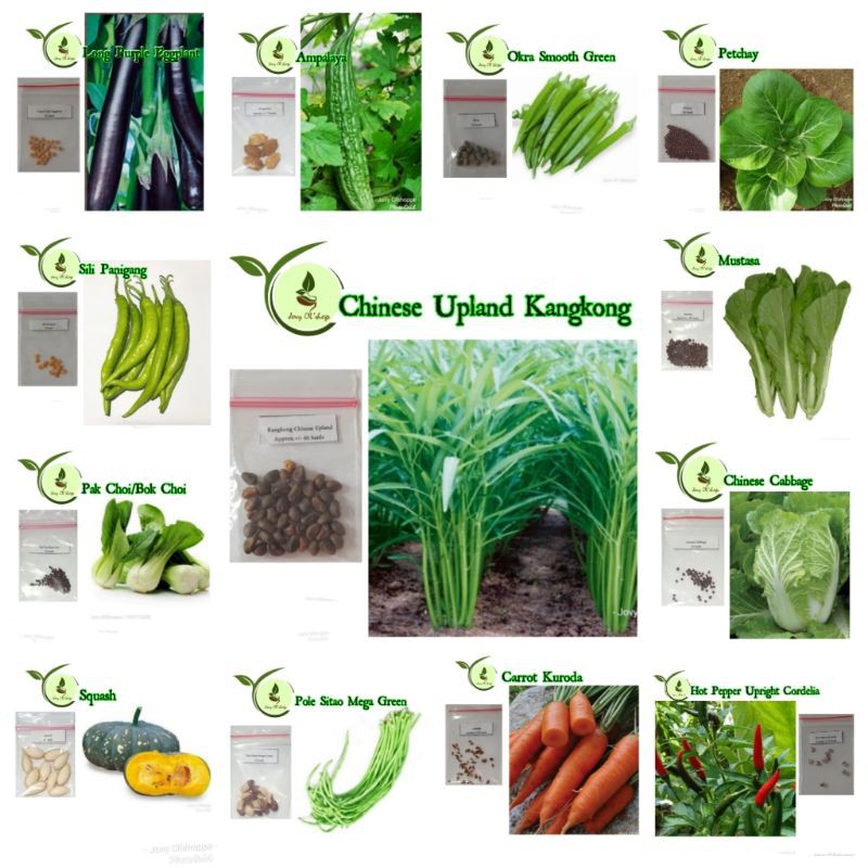 Vegetables Leafy Veggies Seeds Set A | Shopee Philippines