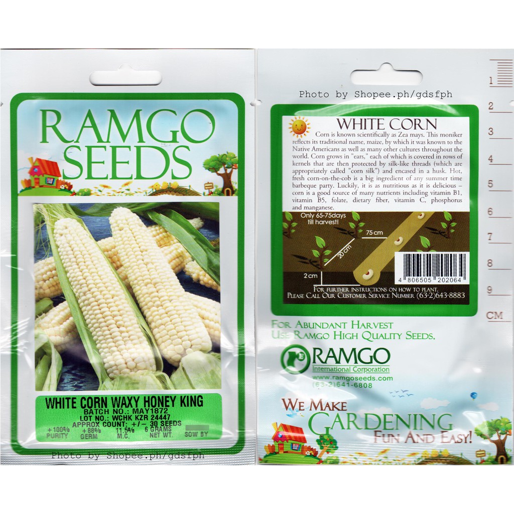 Ramgo RPO Seeds Sweet Corn Honey Baby & White Corn Waxy Honey King 6g (Original Pack) GDSFPH_S4 ...