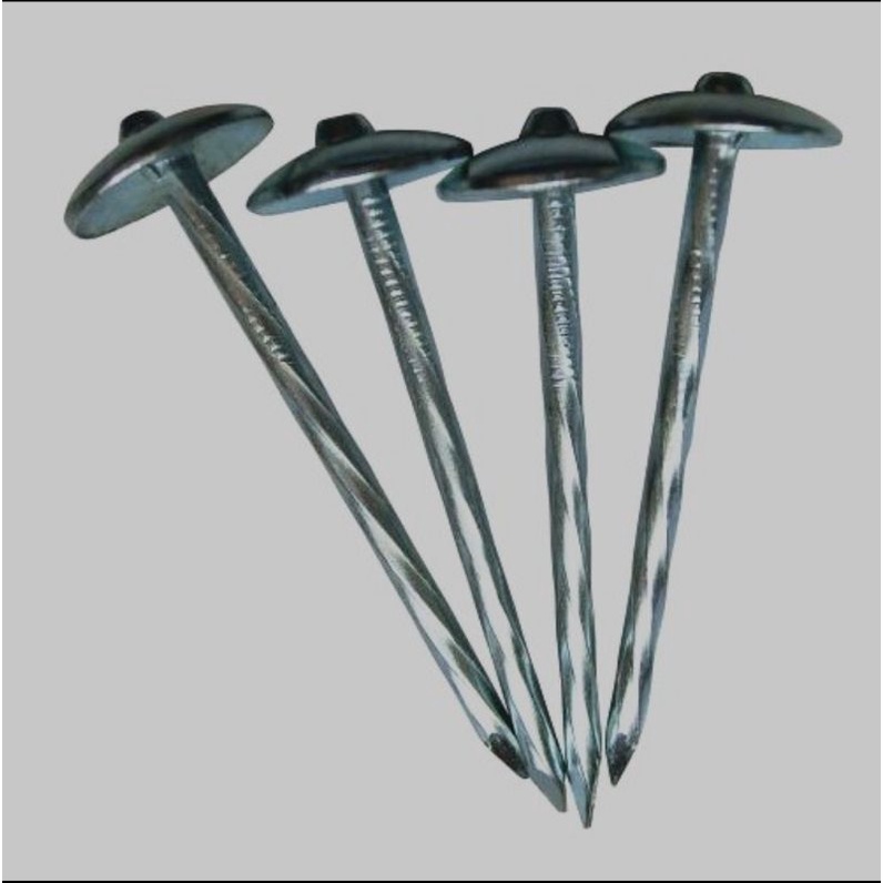 ¼kg 250g | Clavo Aluminum Roofing Nail | Umbrella Nail | Pako ng Yero 2 ...
