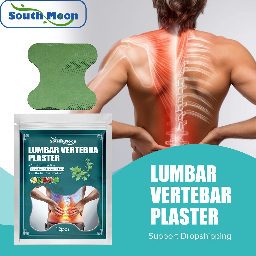 South Moon 12Pcs Lumbar Vertebra Patches Natural Wormwood Plasters Back ...