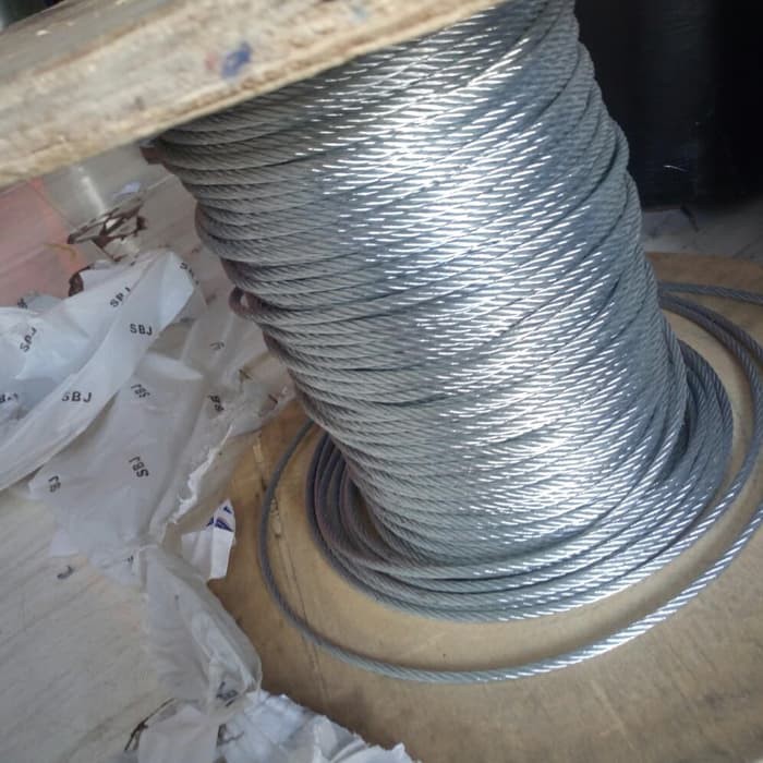 Sling Wire 6 6mm Galvanized Steel Wire Rope 6mm (Meter) | Shopee ...