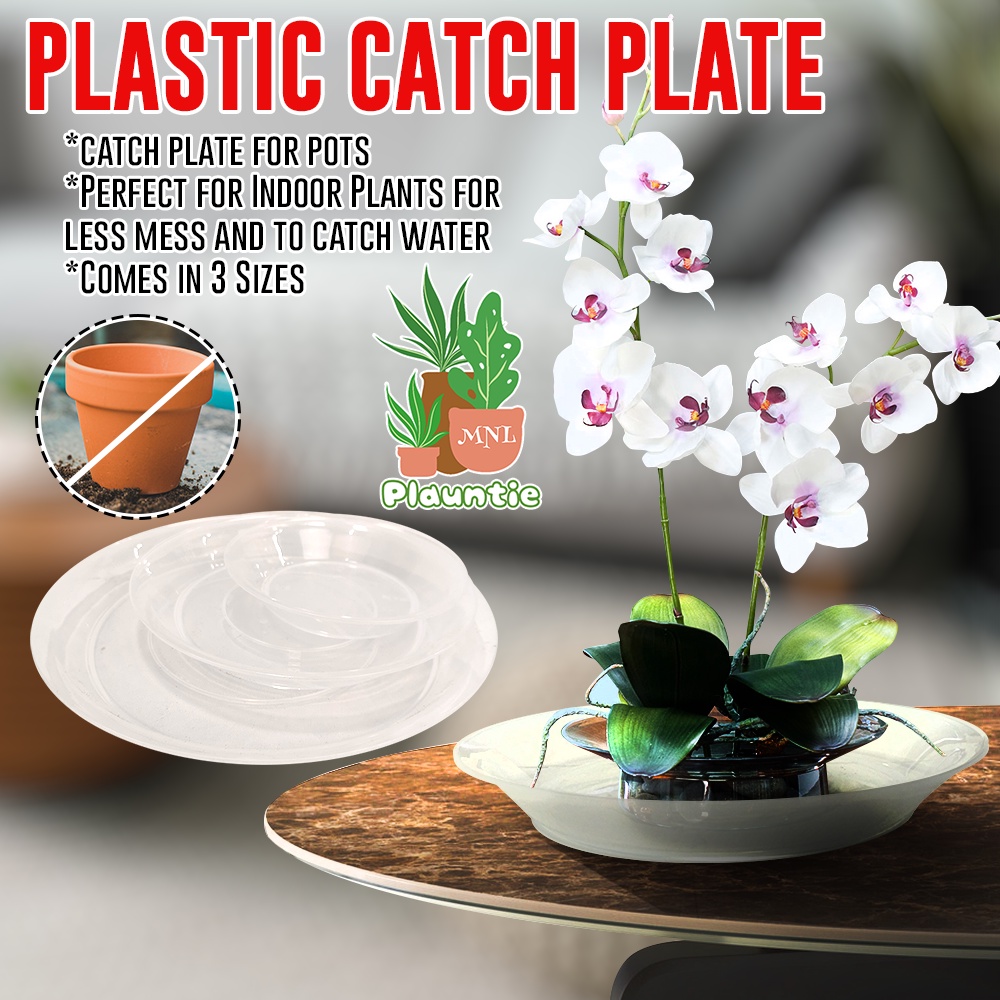 3sizes Clear Catch Plate for pots, Water catcher for pots indoor plants ...