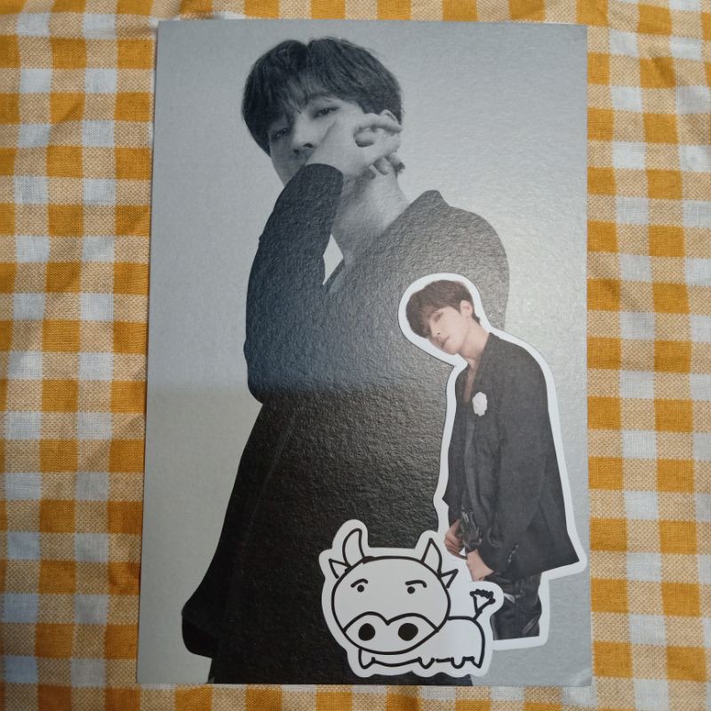Season GREETING 2021 WONWOO Positioning STICKER ONLY | Shopee Philippines