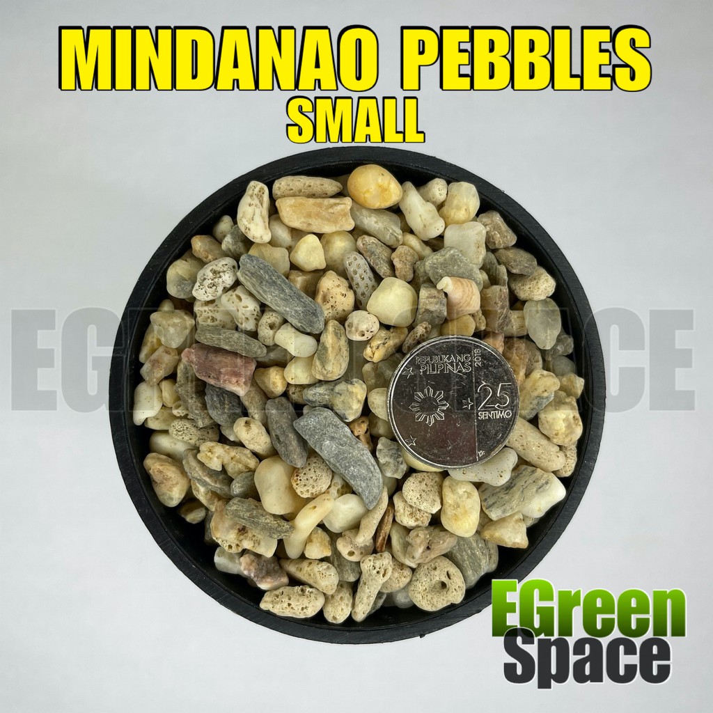 Pebbles (1 Kilo) Aquarium Stones Sand Rock | Part 1 EGreen | Shopee ...
